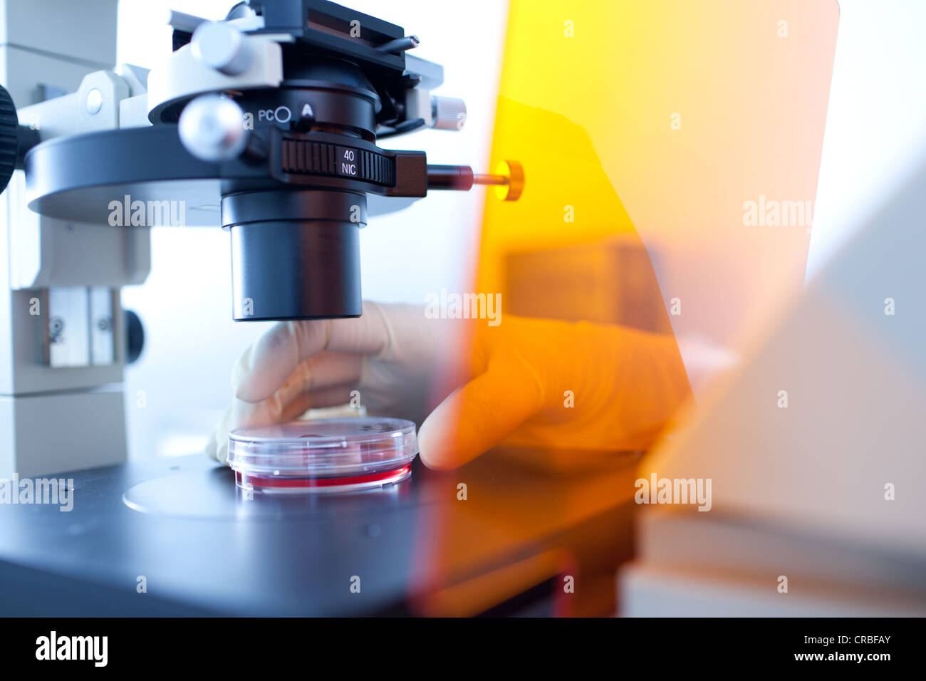 modern microscope in a lab Stock Photo - Alamy