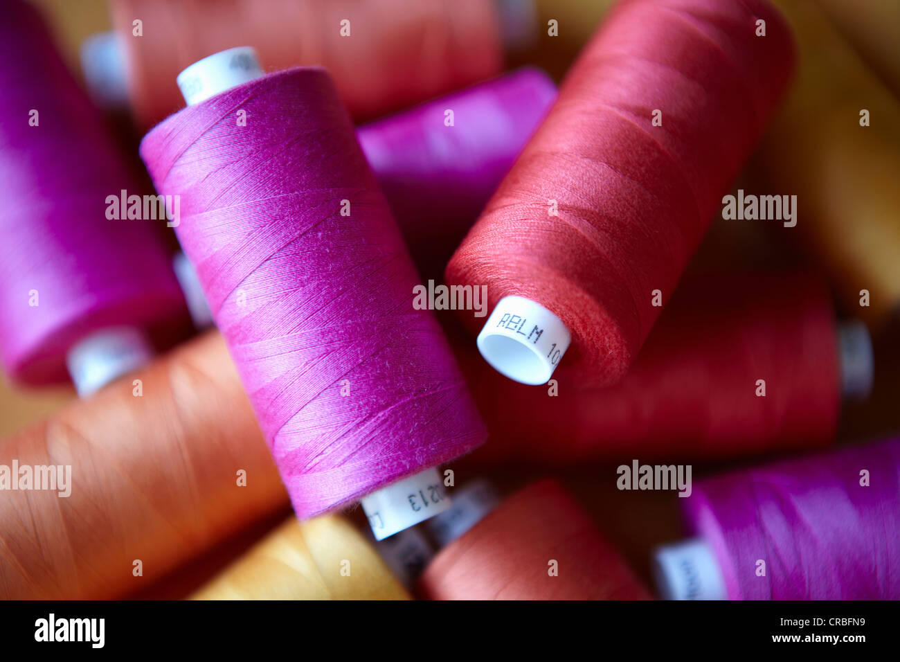 Closeup close up close up horizontal full color colour colorful ...