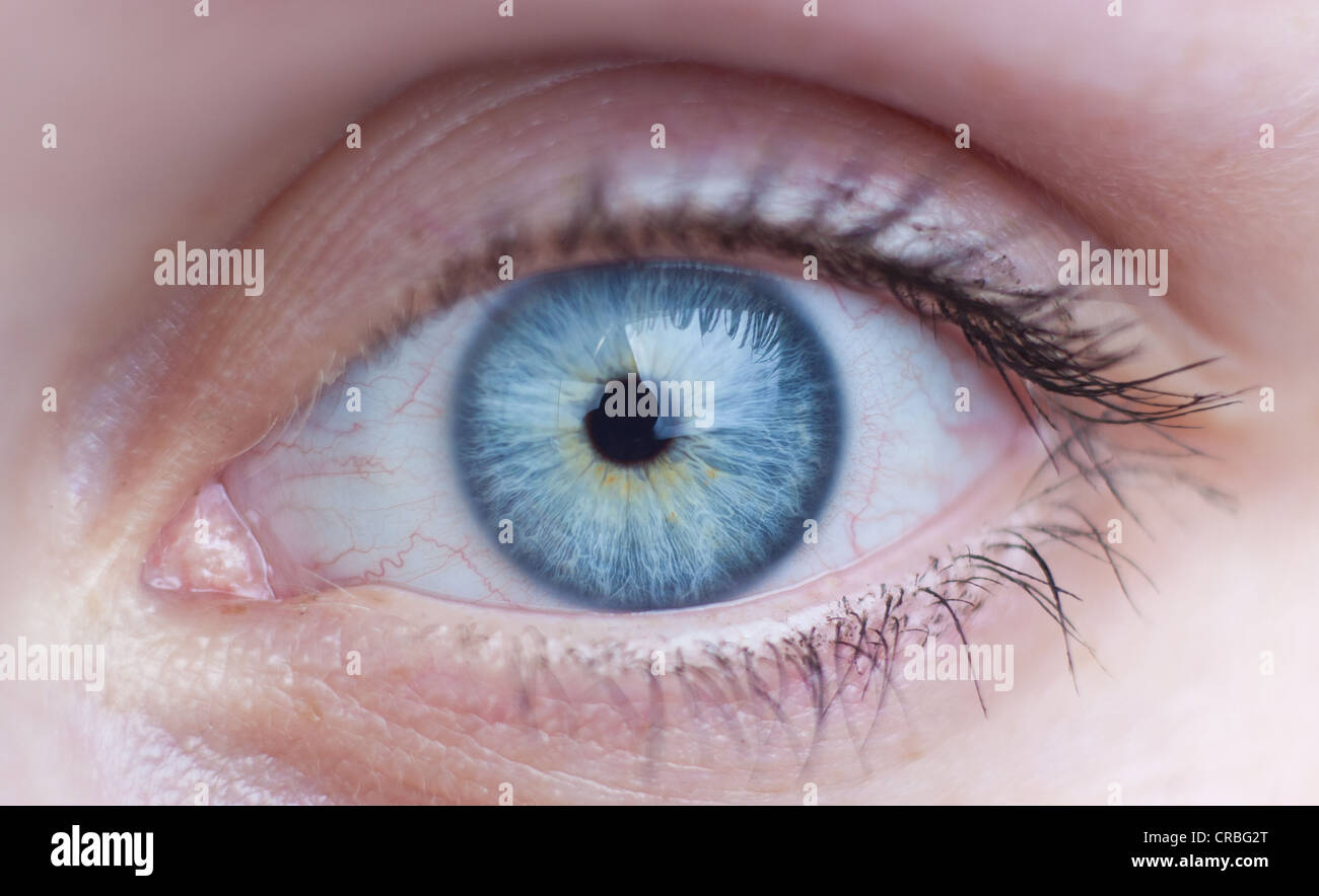 Close-up of a beautiful female blue eye Stock Photo - Alamy