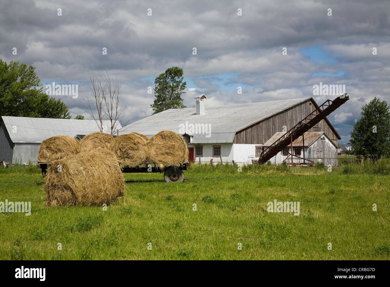 Dairy farm in quebec hi-res stock photography and images - Alamy