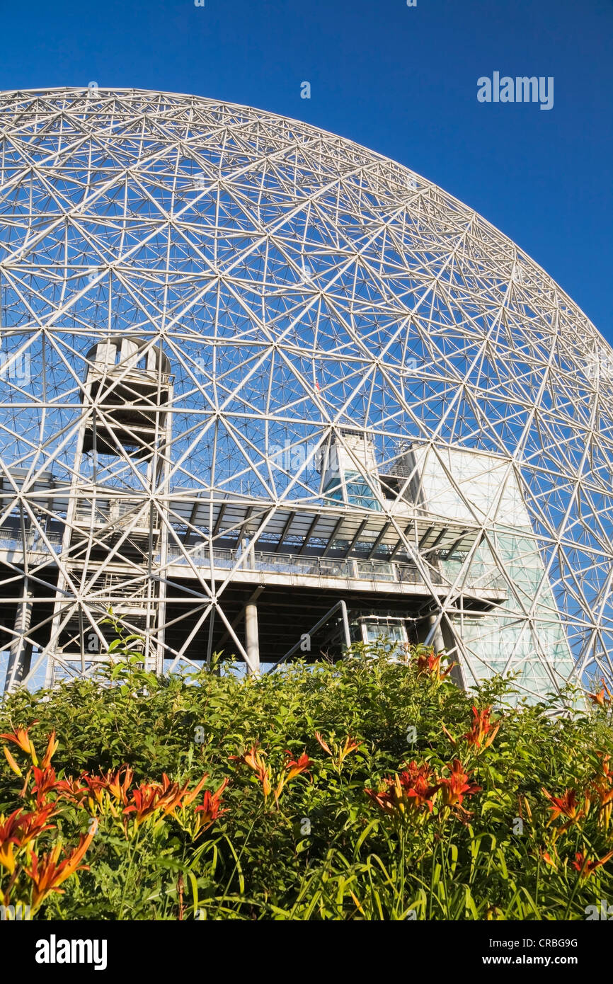 Geodesic Dome Structures