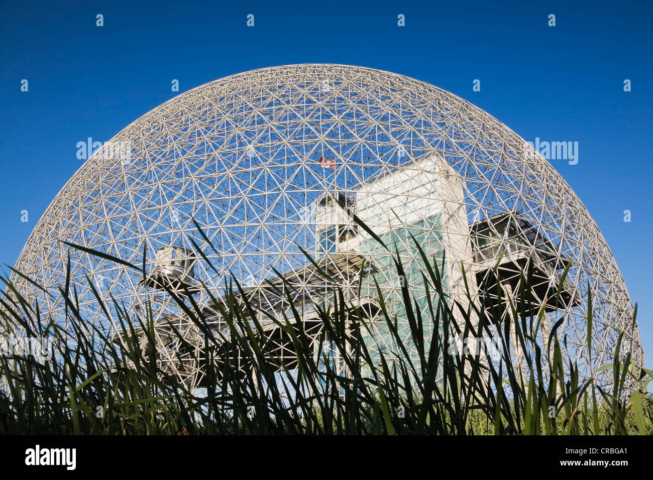 Geodesic Dome Structures