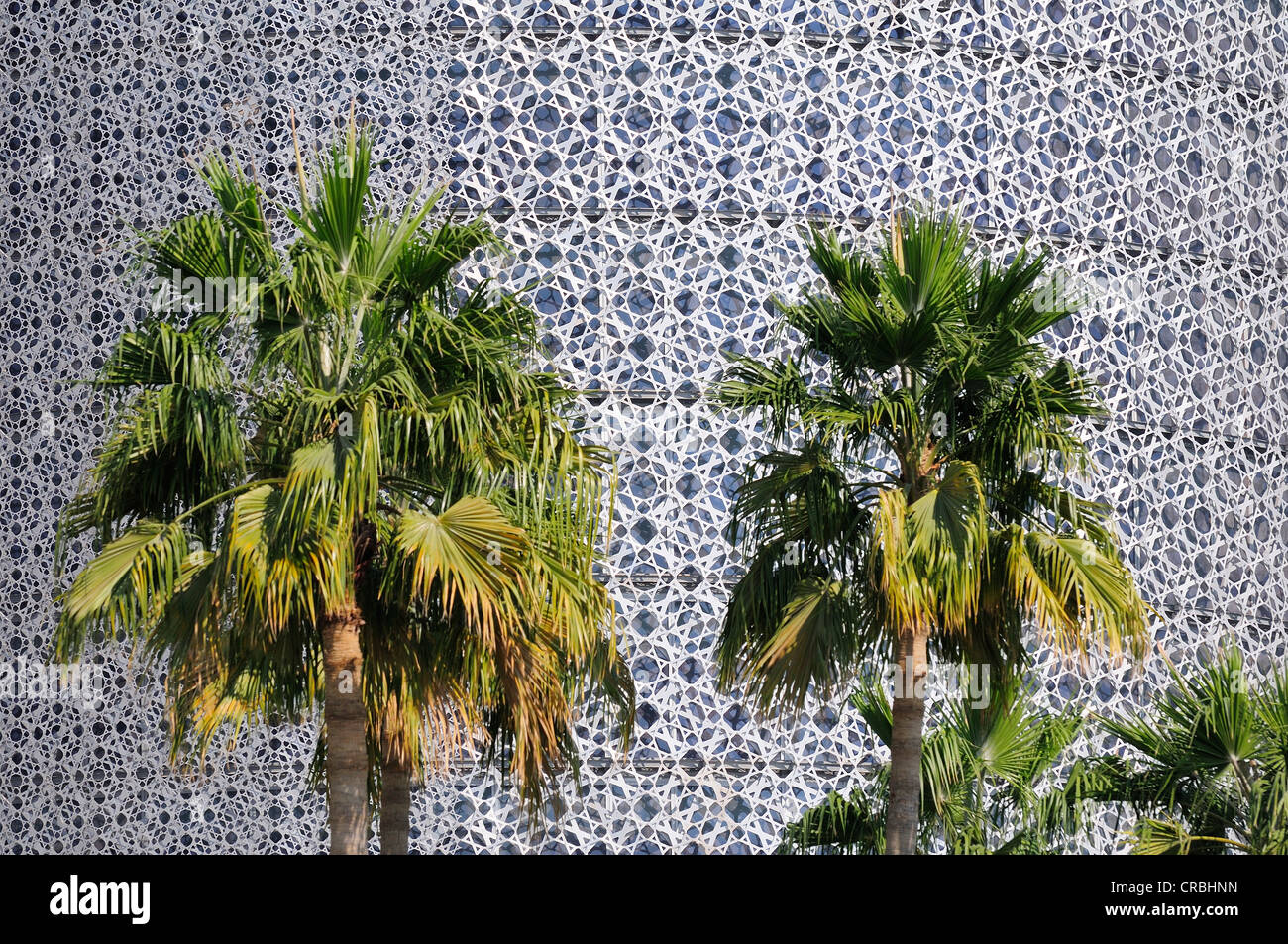 Facade of a skyscraper with palm trees, Doha, Qatar Stock Photo - Alamy