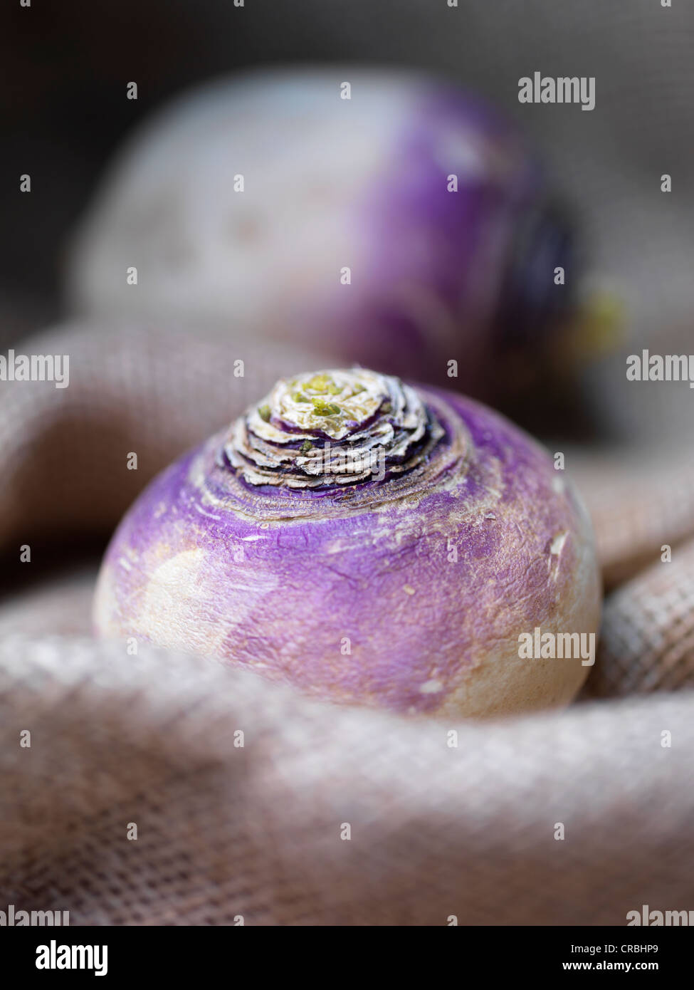 Turnip people hi-res stock photography and images - Alamy