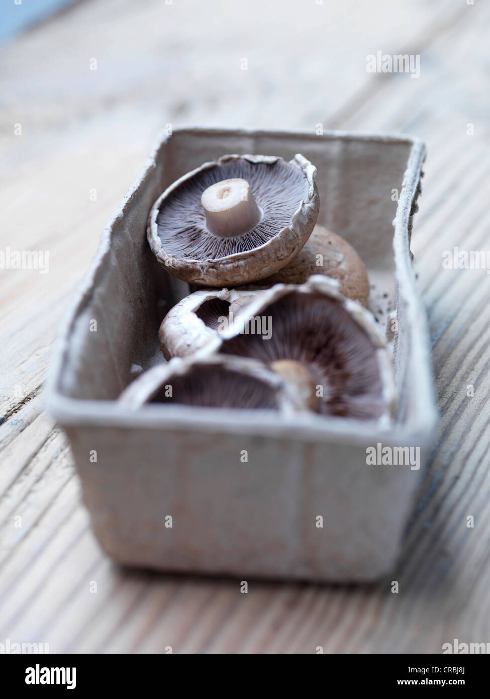 Punnet Of Mushrooms High Resolution Stock Photography and Images - Alamy
