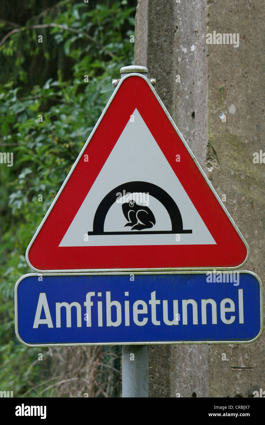 Frog tunnel hi-res stock photography and images - Alamy