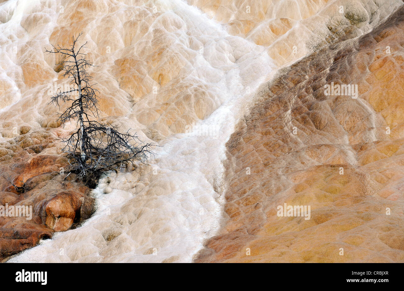 Geysers geothermal energy plant hi-res stock photography and images - Alamy