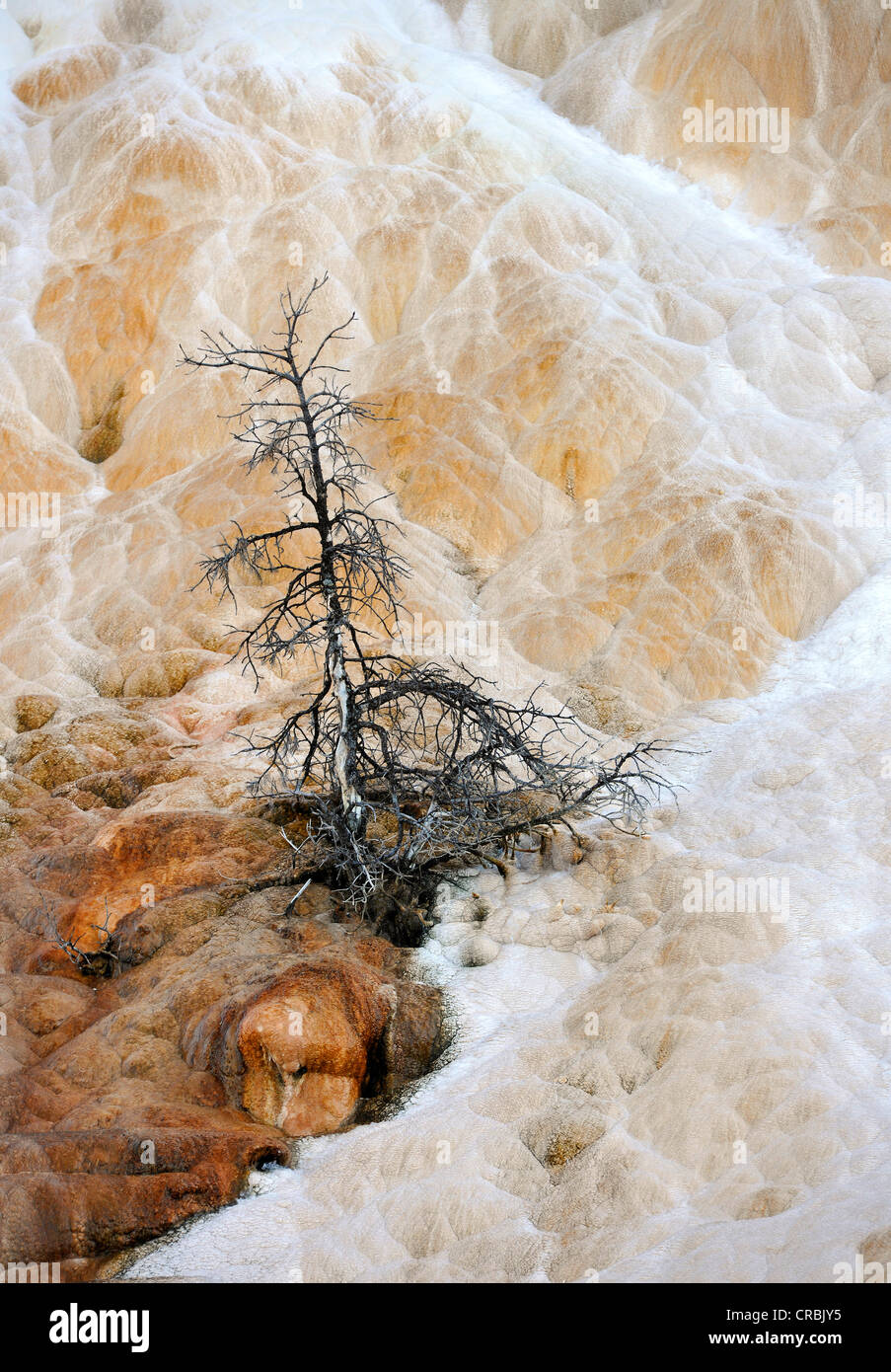 Geysers geothermal energy plant hi-res stock photography and images - Alamy