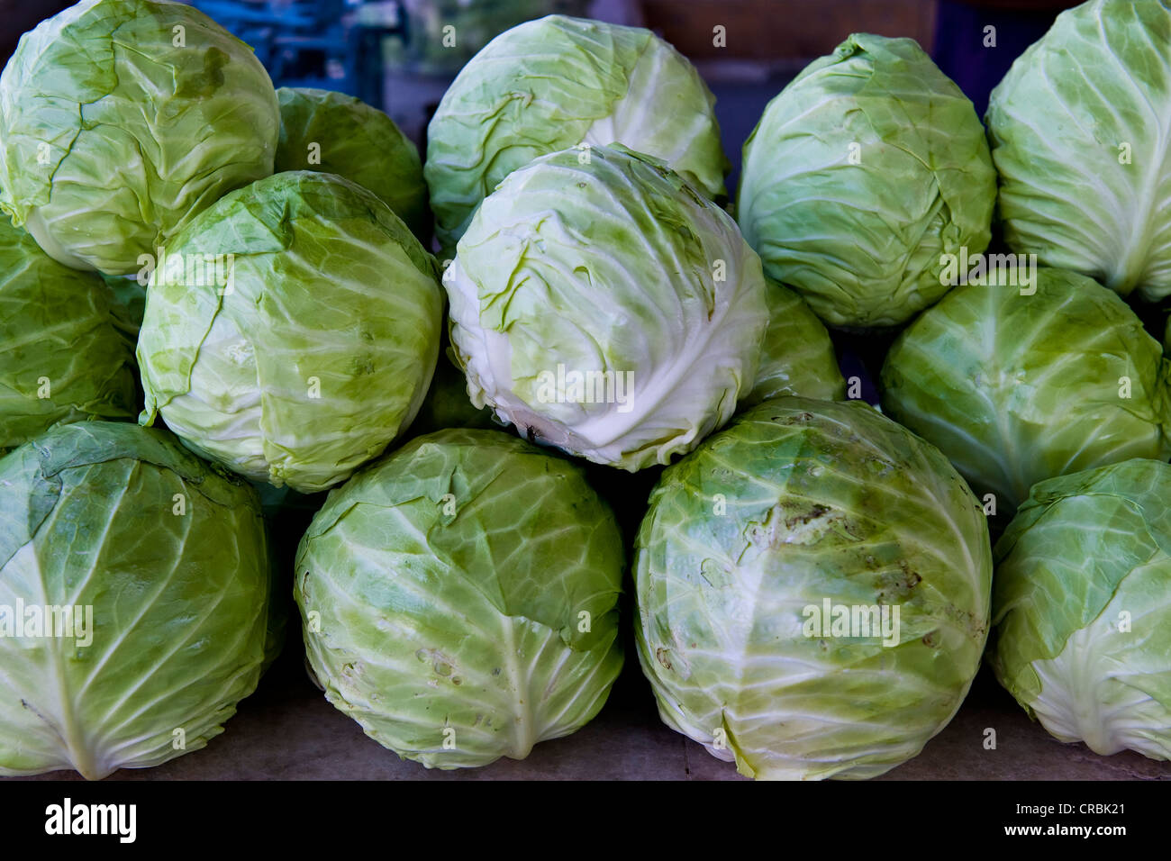 Uzbekistan, Samarkand, Siyob bazaar, cabbage Stock Photo - Alamy