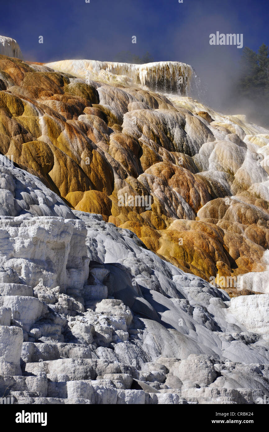 Palette Spring Terrace, Lower Terraces, limestone sinter terraces ...
