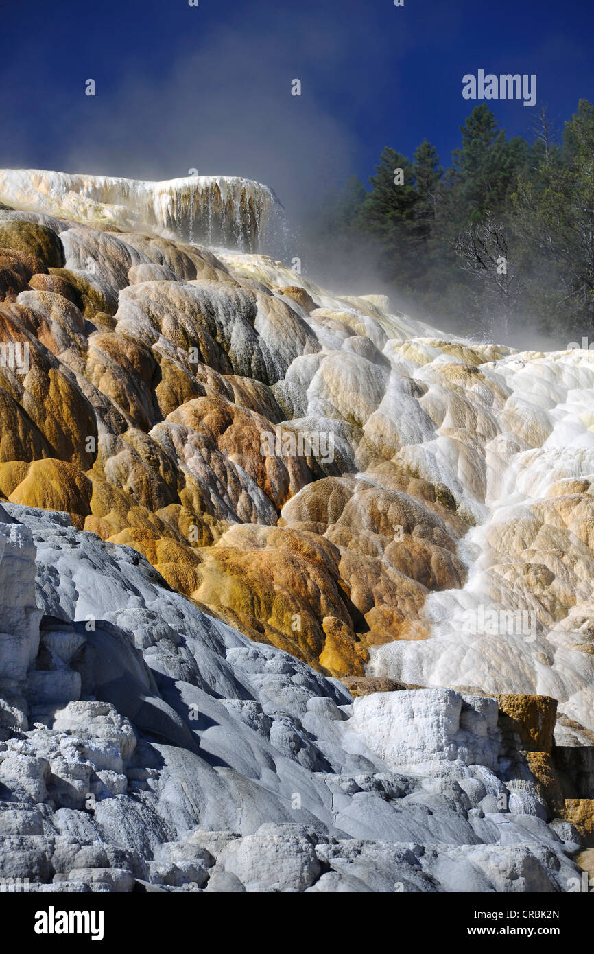 Palette Spring Terrace, Lower Terraces, limestone sinter terraces ...