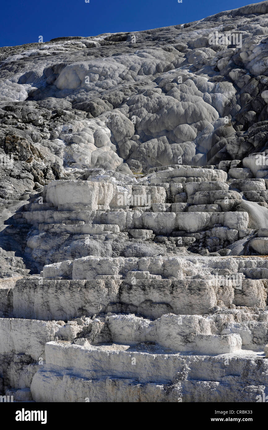 Minerva Spring Terrace, Lower Terraces, limestone sinter terraces ...