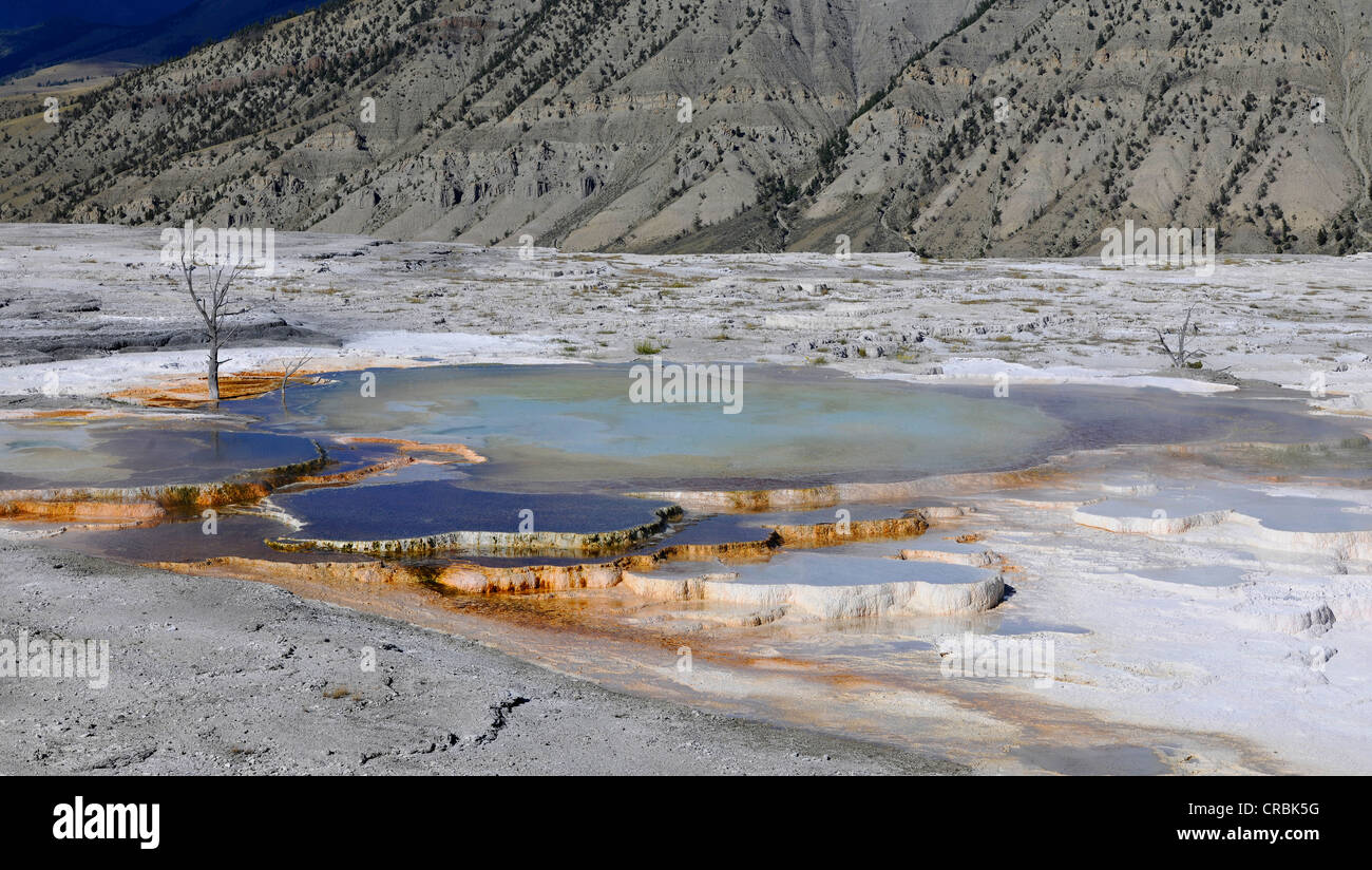 New Blue Spring, limestone sinter terraces, geysers, hot springs, dead ...