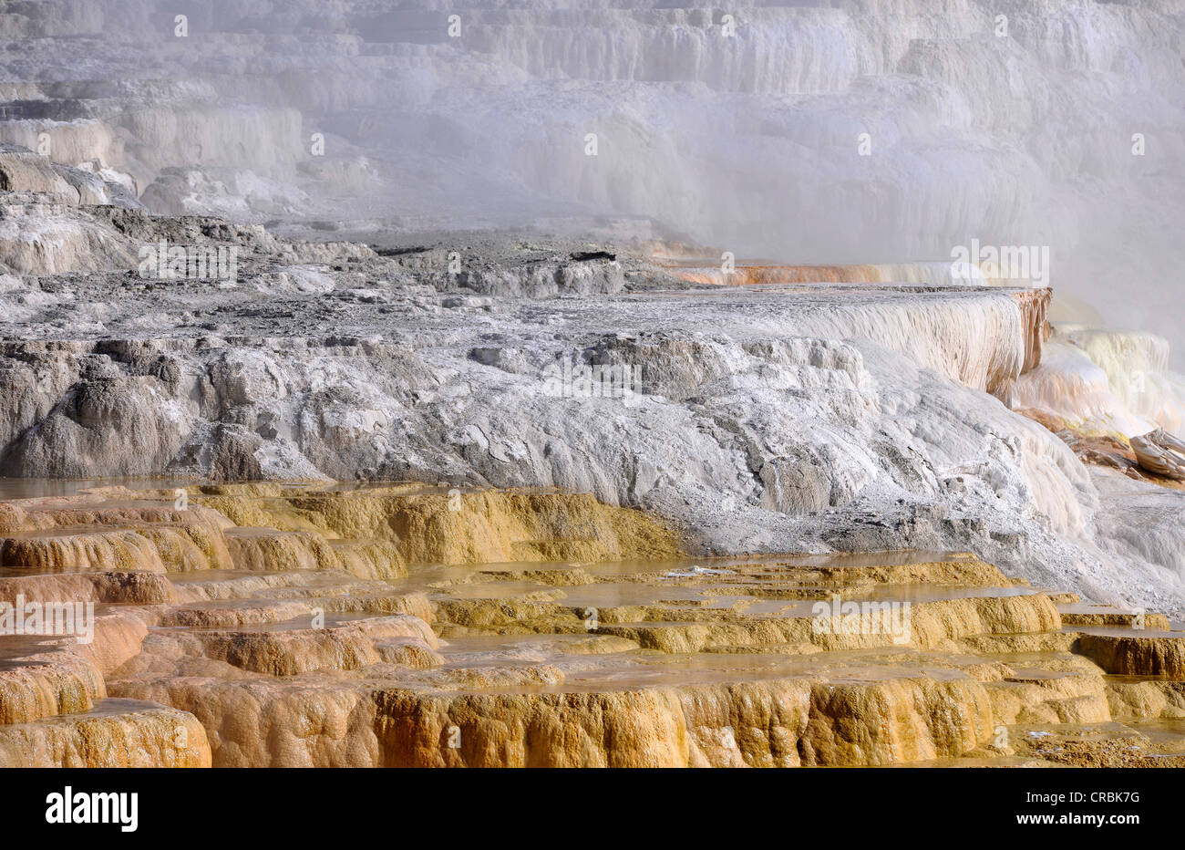 Canary Spring Terrace, limestone sinter terraces, geysers, hot springs ...