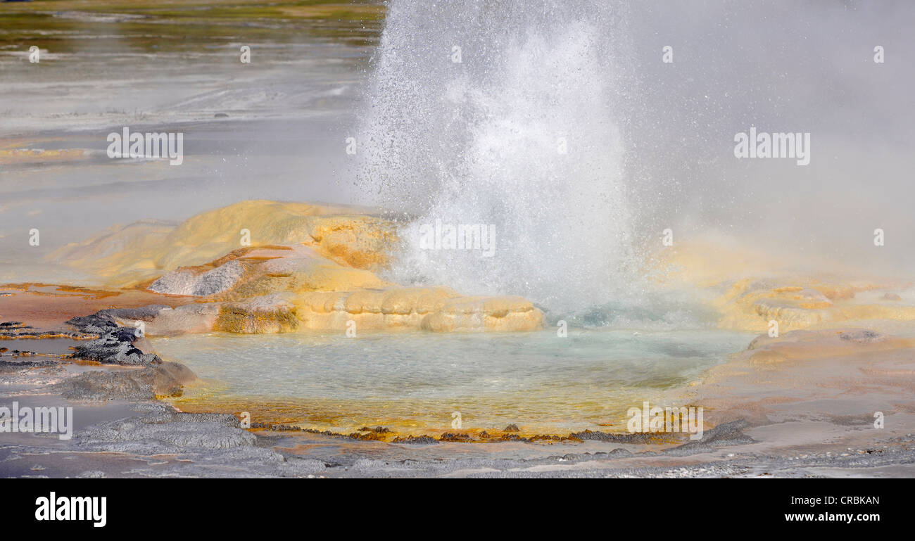 Sunset Lake, geyser, outlet area, colourful thermophilic bacteria ...