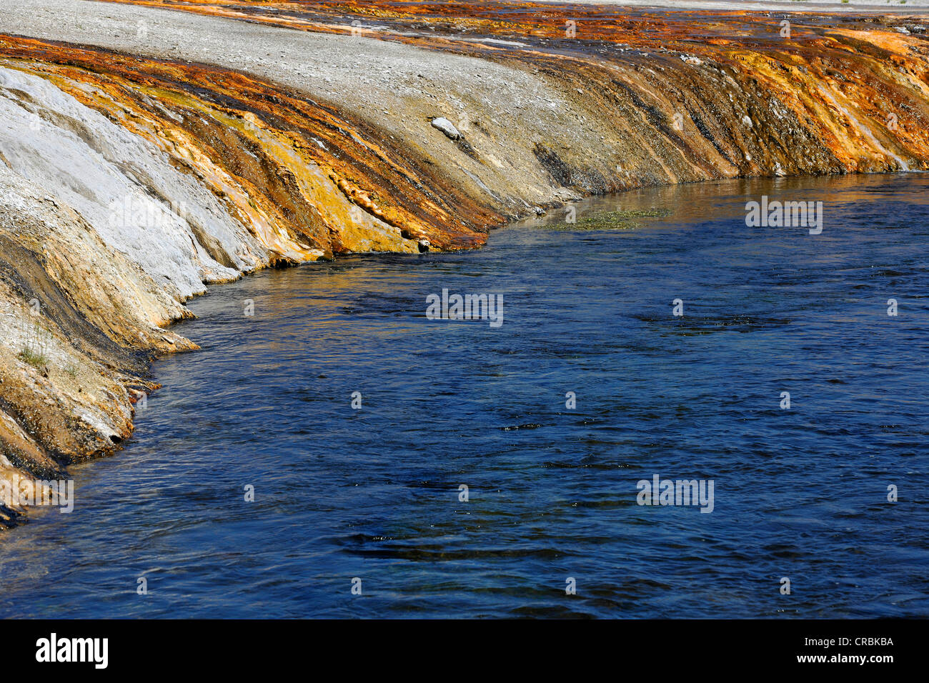 Colored thermophilic bacteria, outlet of the Cliff Geyser, Firehole ...