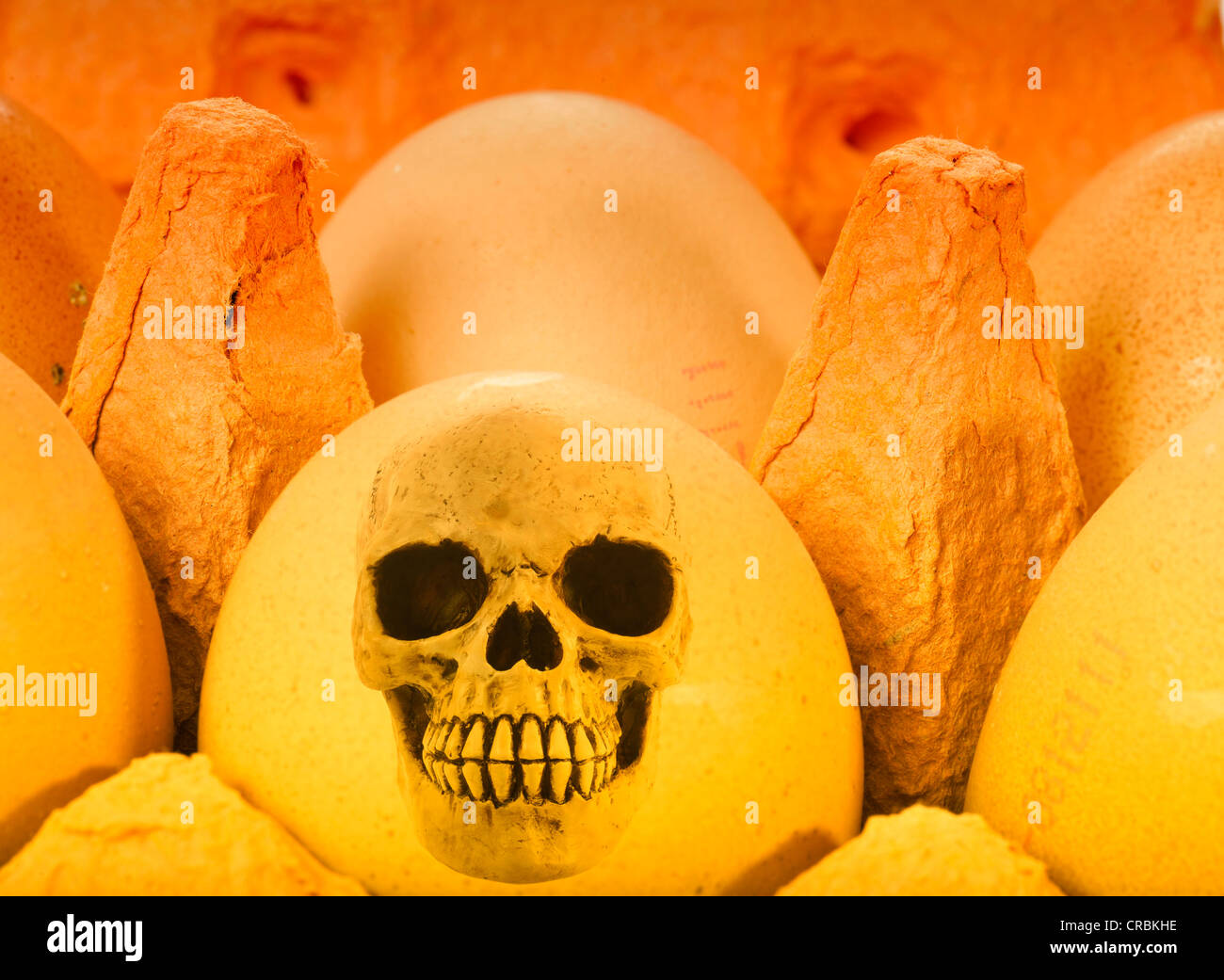 Skull, egg, symbolic image for contaminated food, dioxin contamination ...