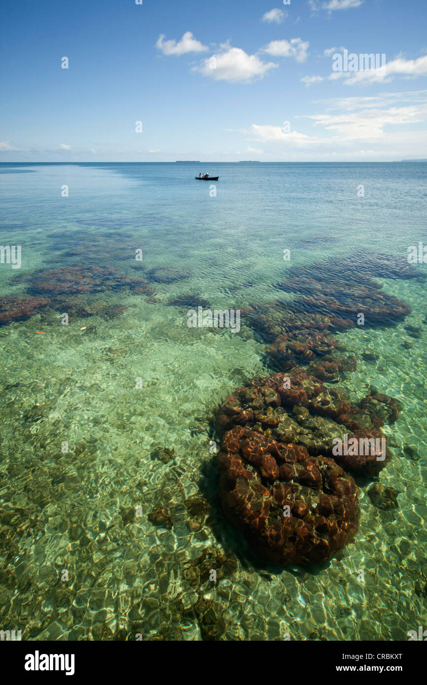 Coral in the clear water of the small Caribbean island of Coral Key ...