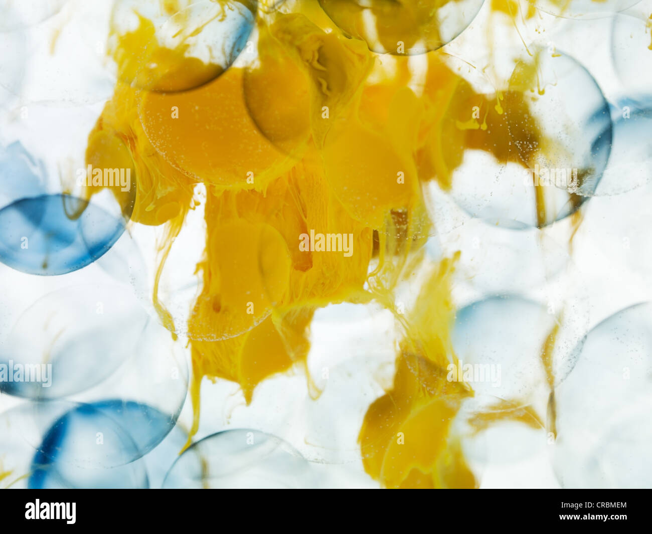cells with blue border transparent yellow paint dispersed in water ...