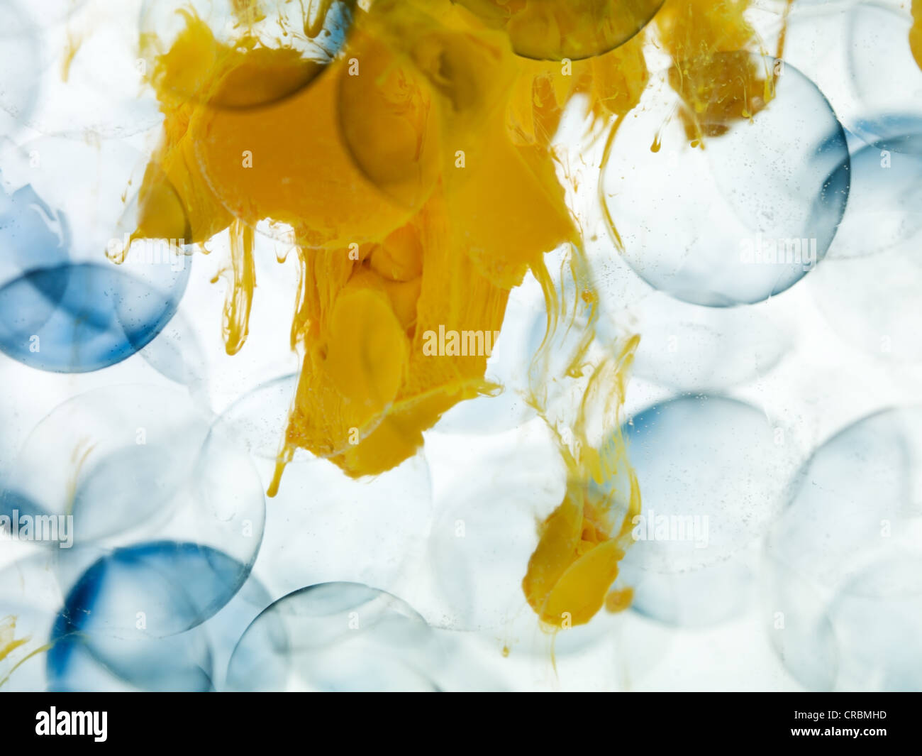 Cells With Blue Border Transparent Yellow Paint Dispersed In Water Stock Photo Alamy
