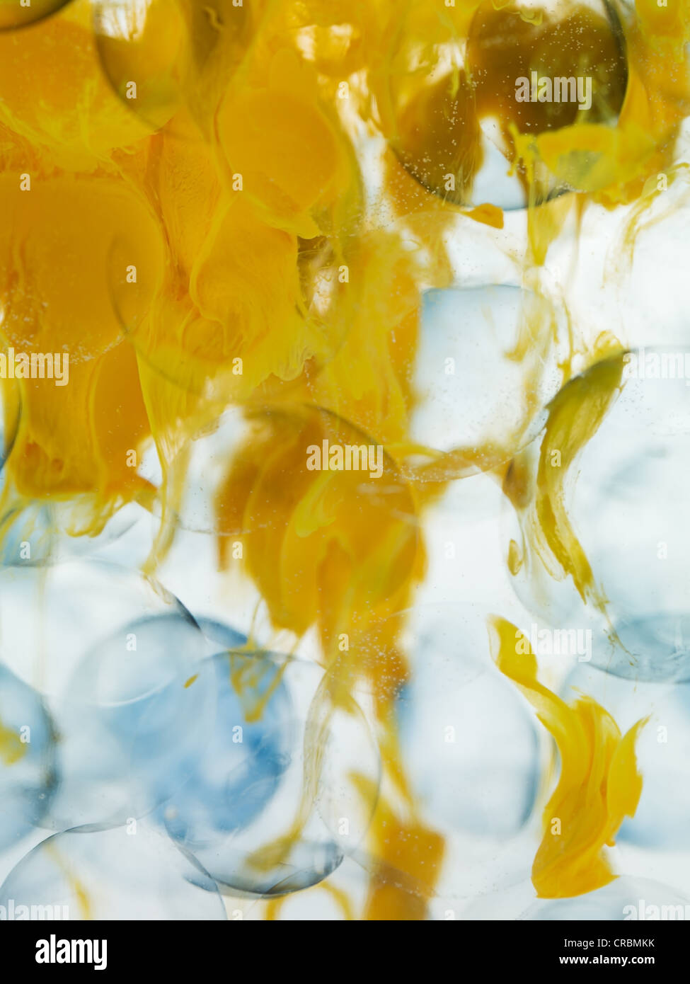 cells with blue border transparent yellow paint dispersed in water ...