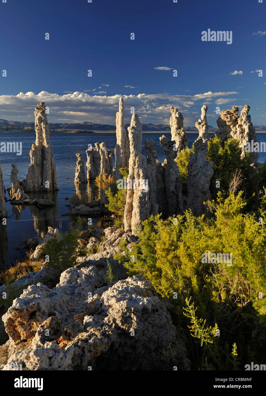Tufa rocks, tufa formations, South Tufa Area, Mono Lake, saline lake ...