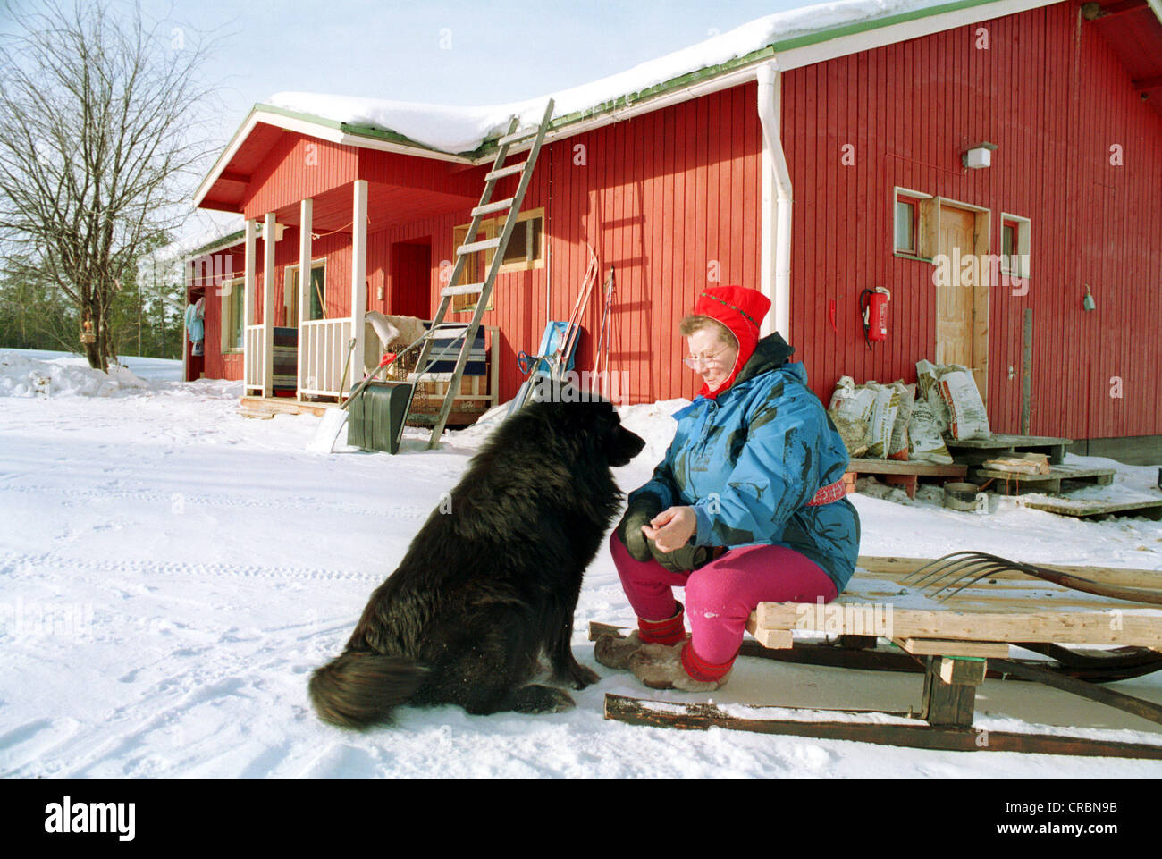 Sámi grandmother with her dog (Finnish Lapland Stock Photo - Alamy