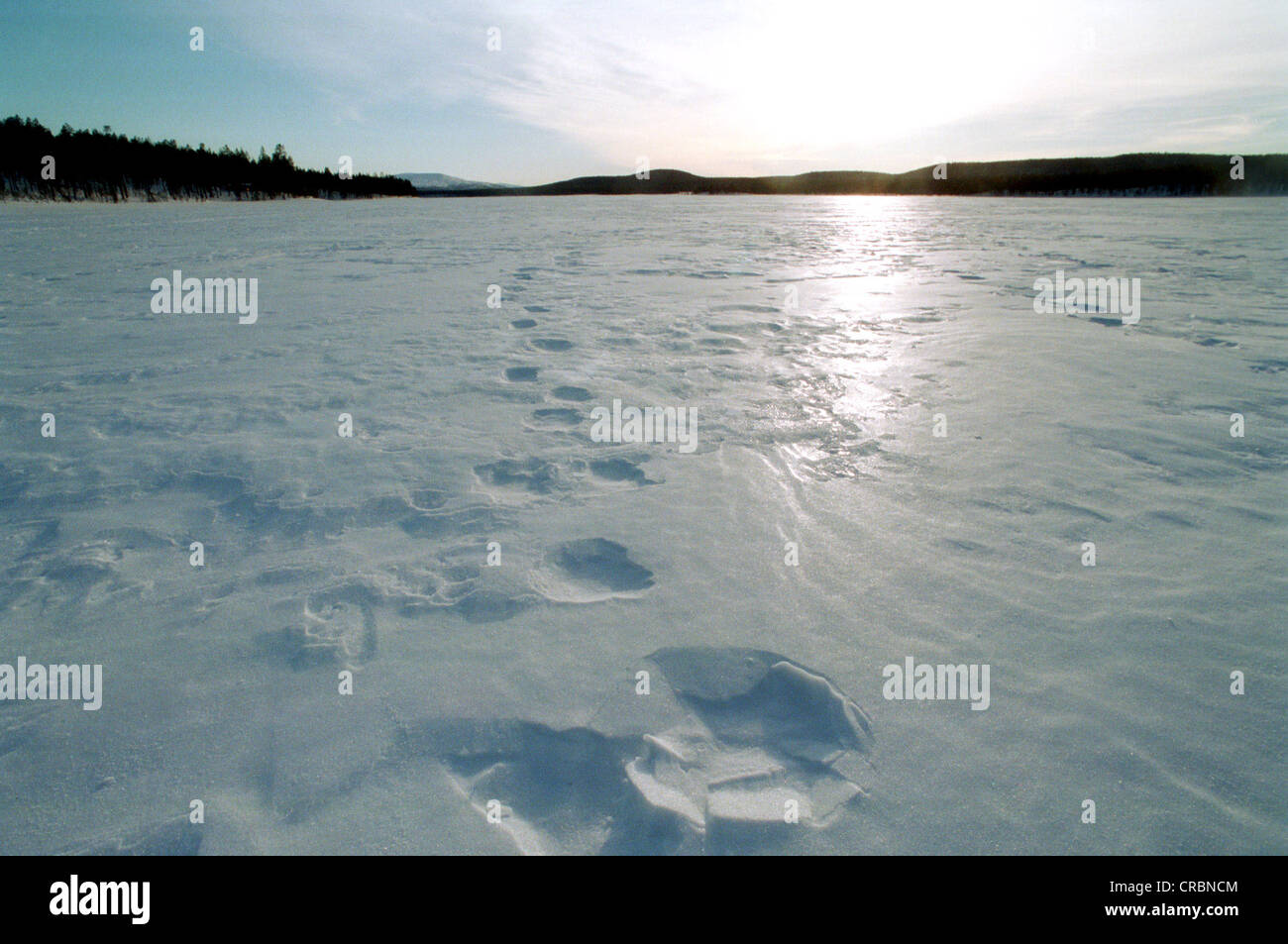 frozen lake in Finnish Lapland Stock Photo - Alamy