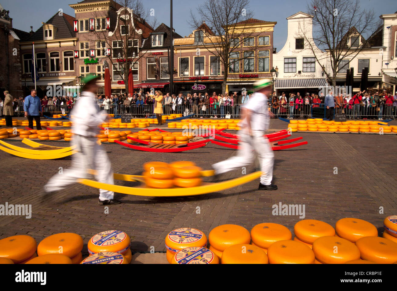 Cheese carriers on the cheese market in Alkmaar, North Holland ...