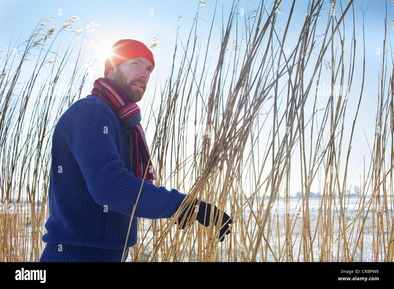 Human being standing tall hi-res stock photography and images - Alamy