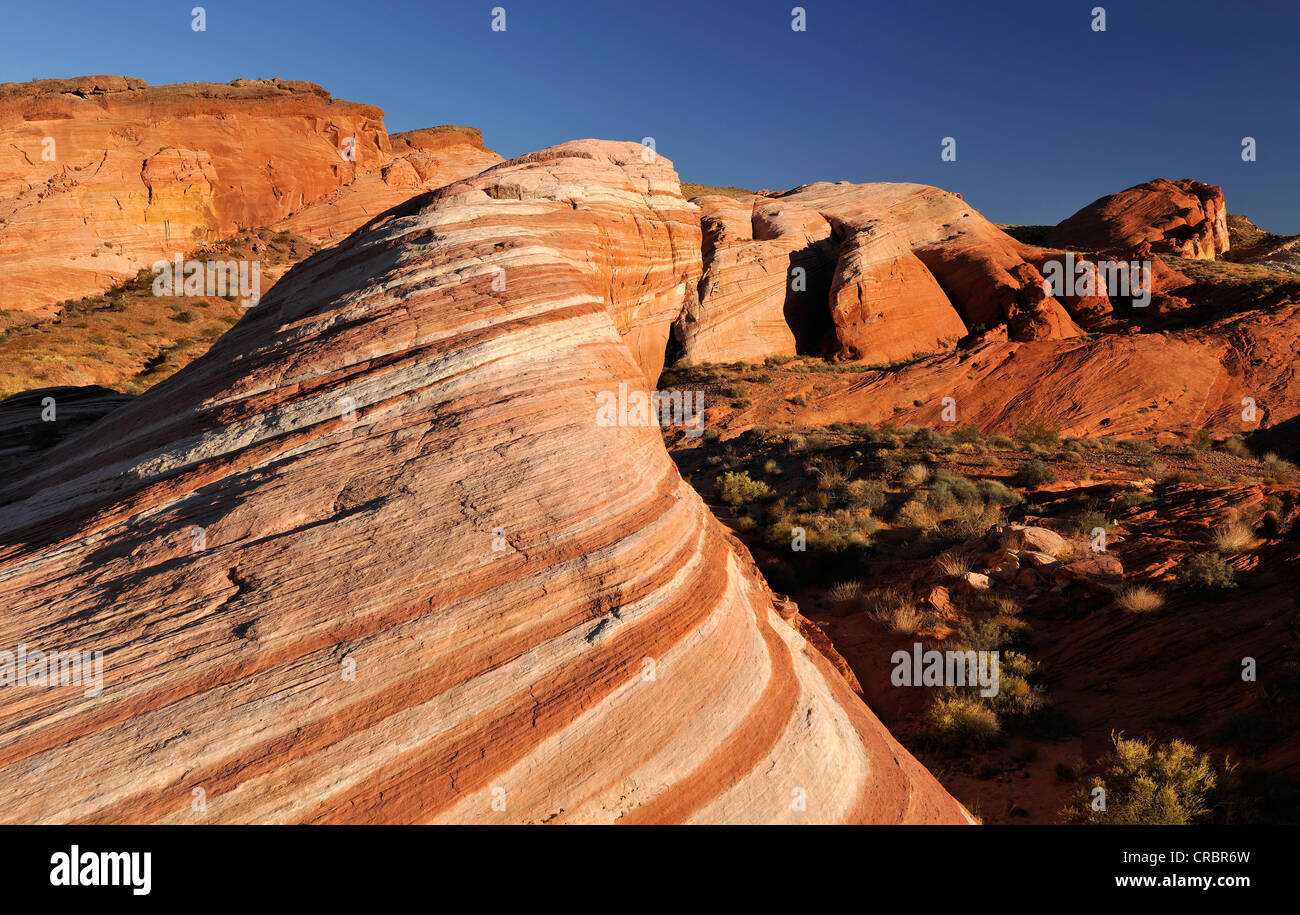 Fire Wave rock formation, wave of banded and eroded Aztec sandstone ...