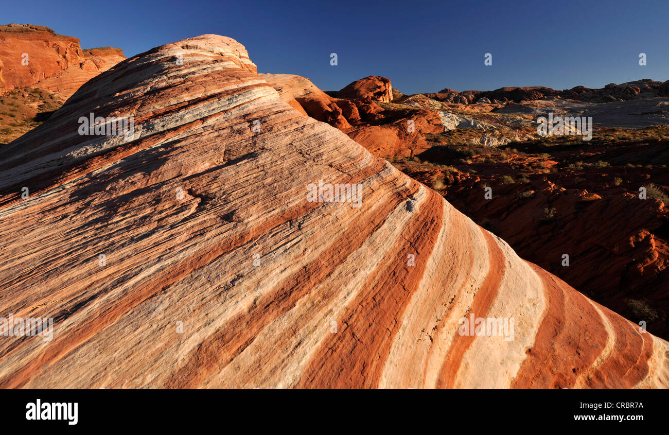 Fire Wave rock formation, wave of banded and eroded Aztec sandstone ...