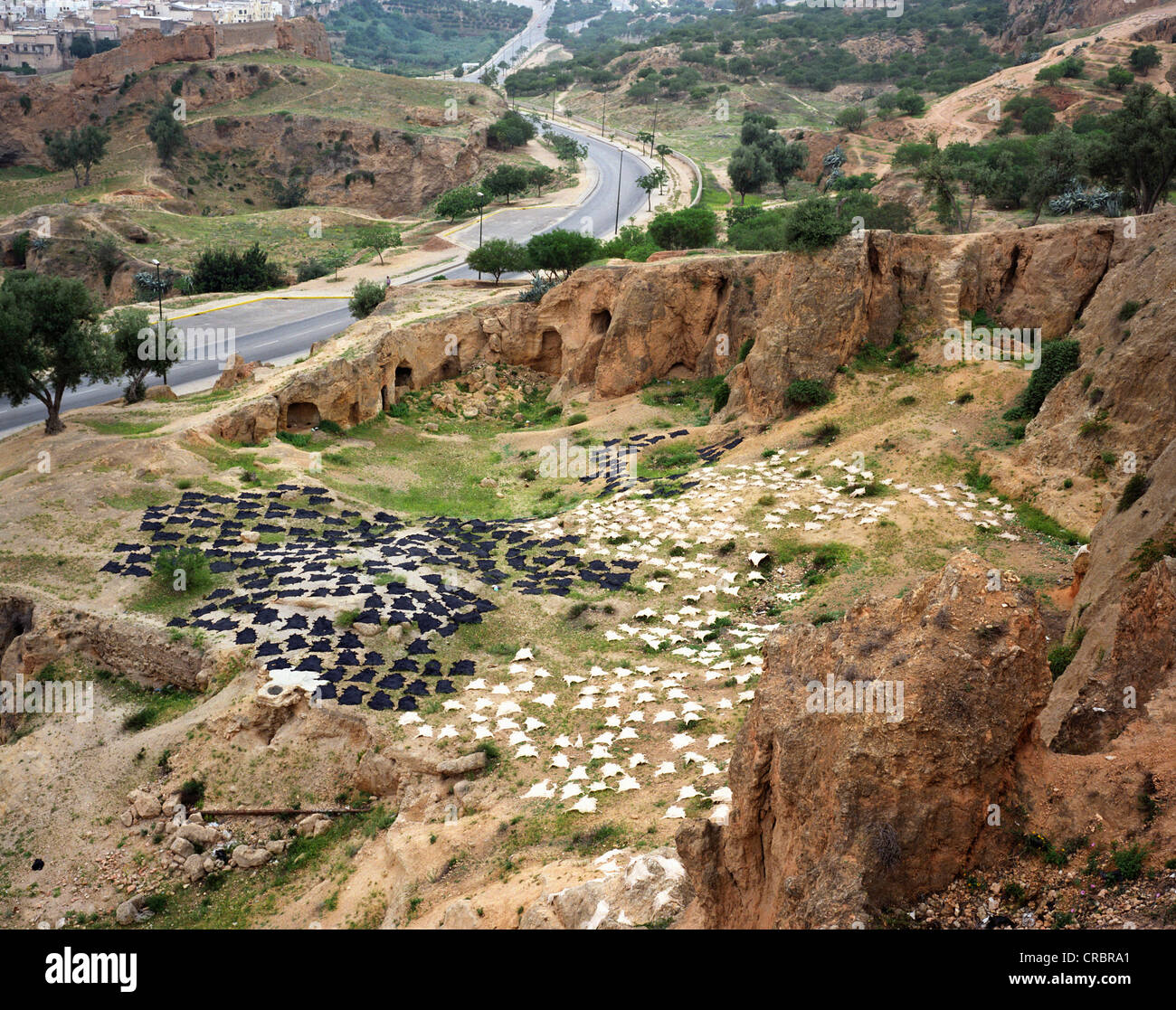 Tanned animal hides drying on hillside Stock Photo - Alamy