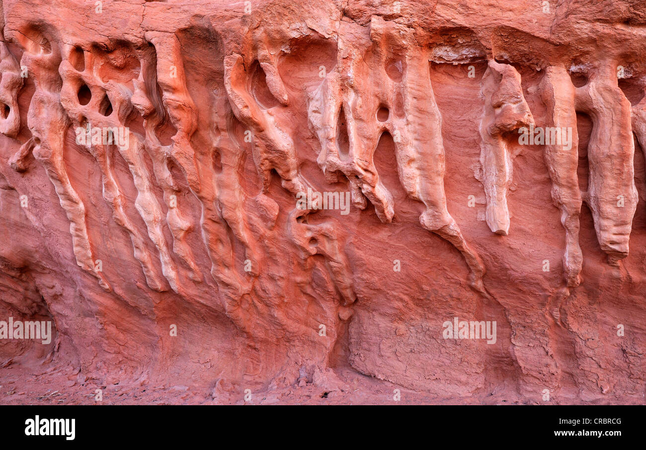Eroded Aztec sandstone, Valley of Fire State Park, Nevada, United ...