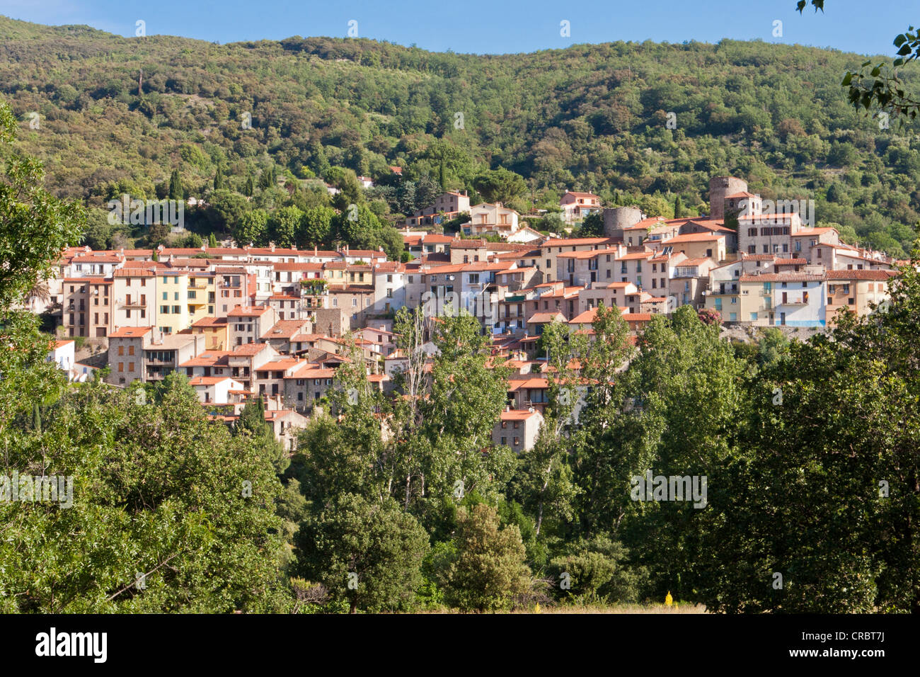 Palalda, Languedoc-Roussillon, France Stock Photo - Alamy