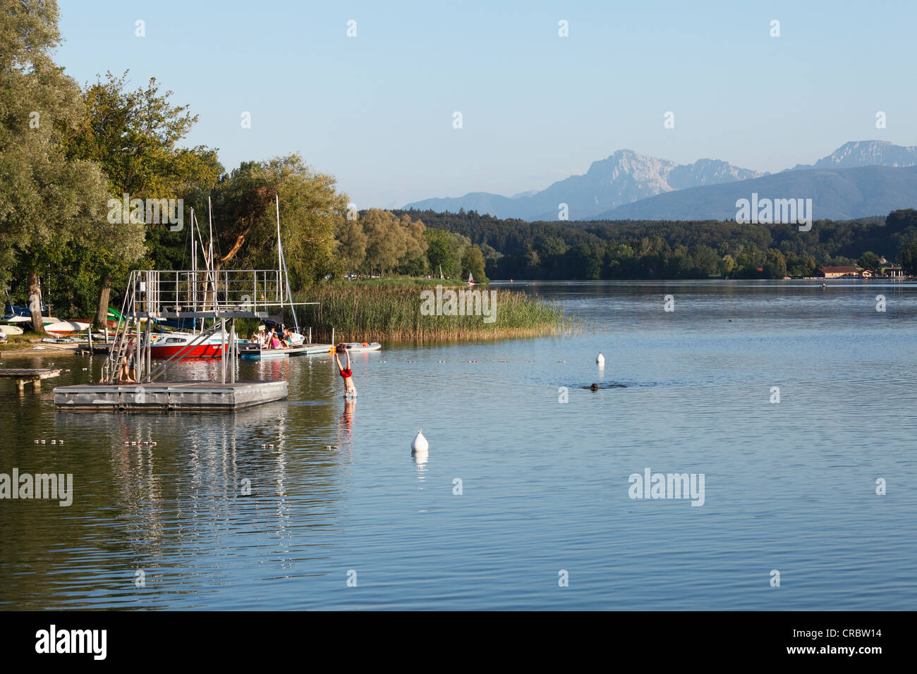 Lake Waging, Tettenhausen, Rupertiwinkel, Upper Bavaria, Bavaria ...