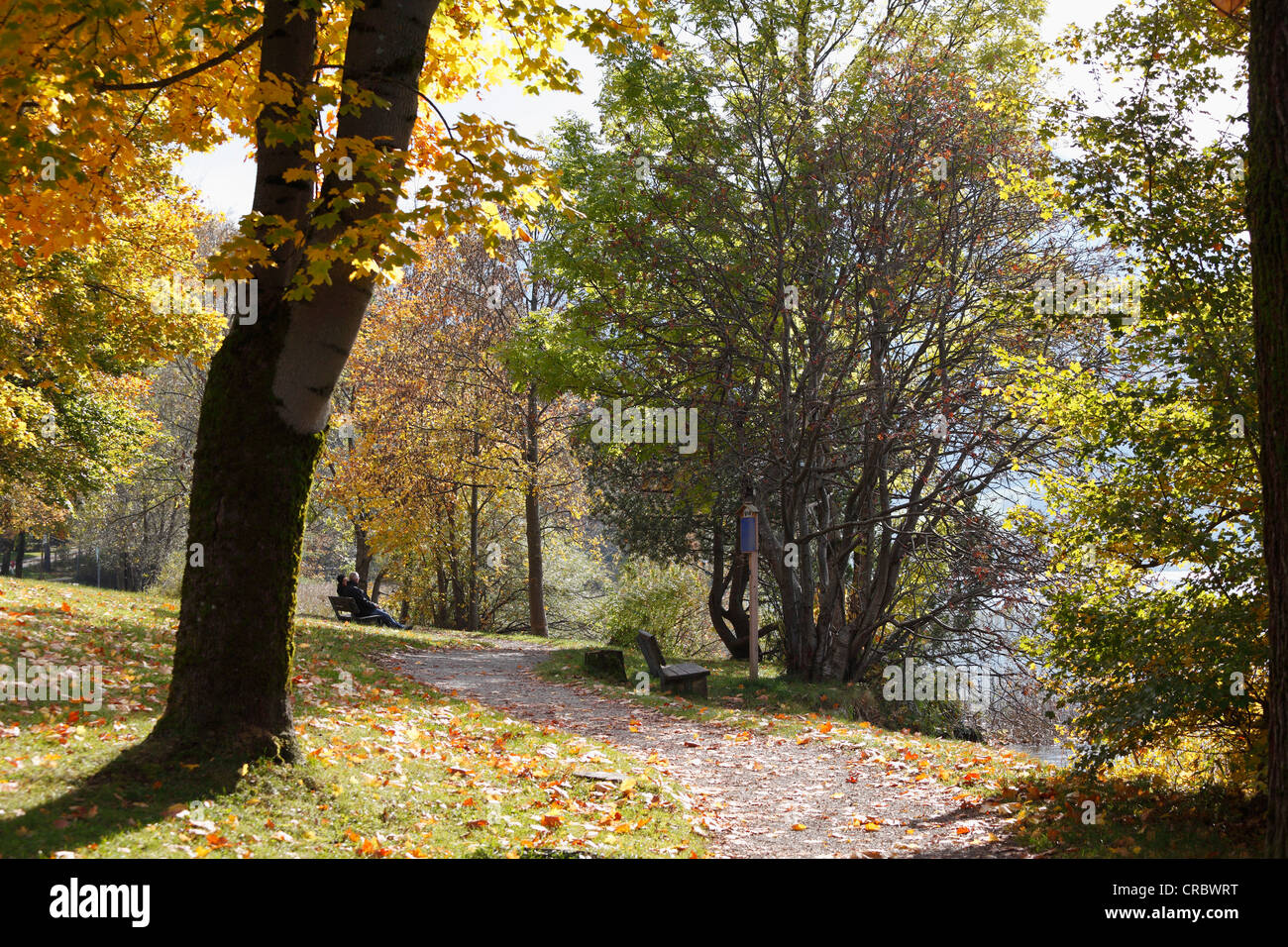 Trail along the shore of Lake Schliersee, Upper Bavaria, Bavaria ...
