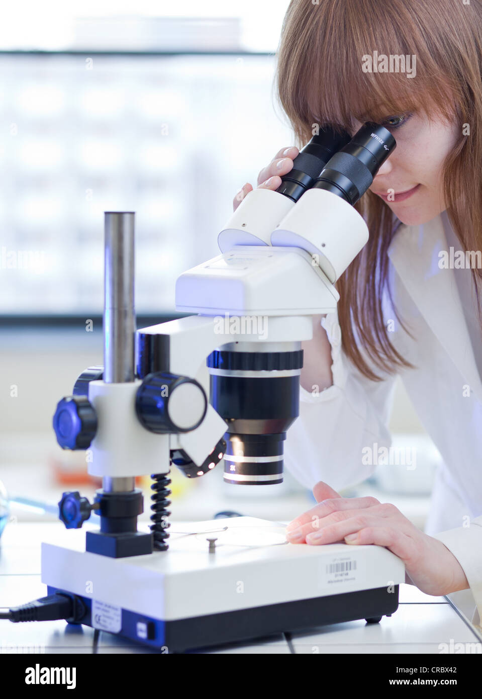 pretty female researcher using a microscope in a lab Stock Photo - Alamy