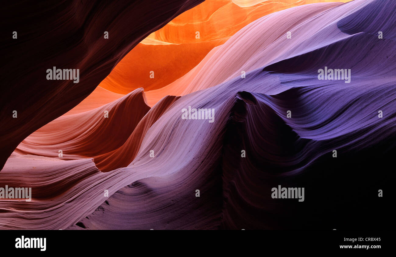 The Wave rock formation, red sandstone of the Moenkopi Formation, rock ...