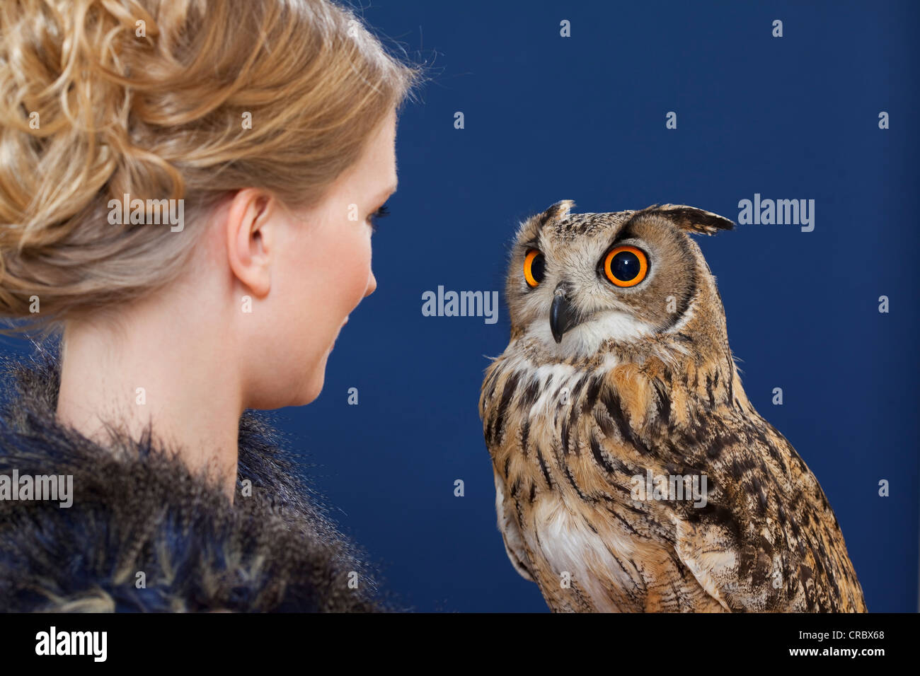 Woman owl hi-res stock photography and images - Alamy