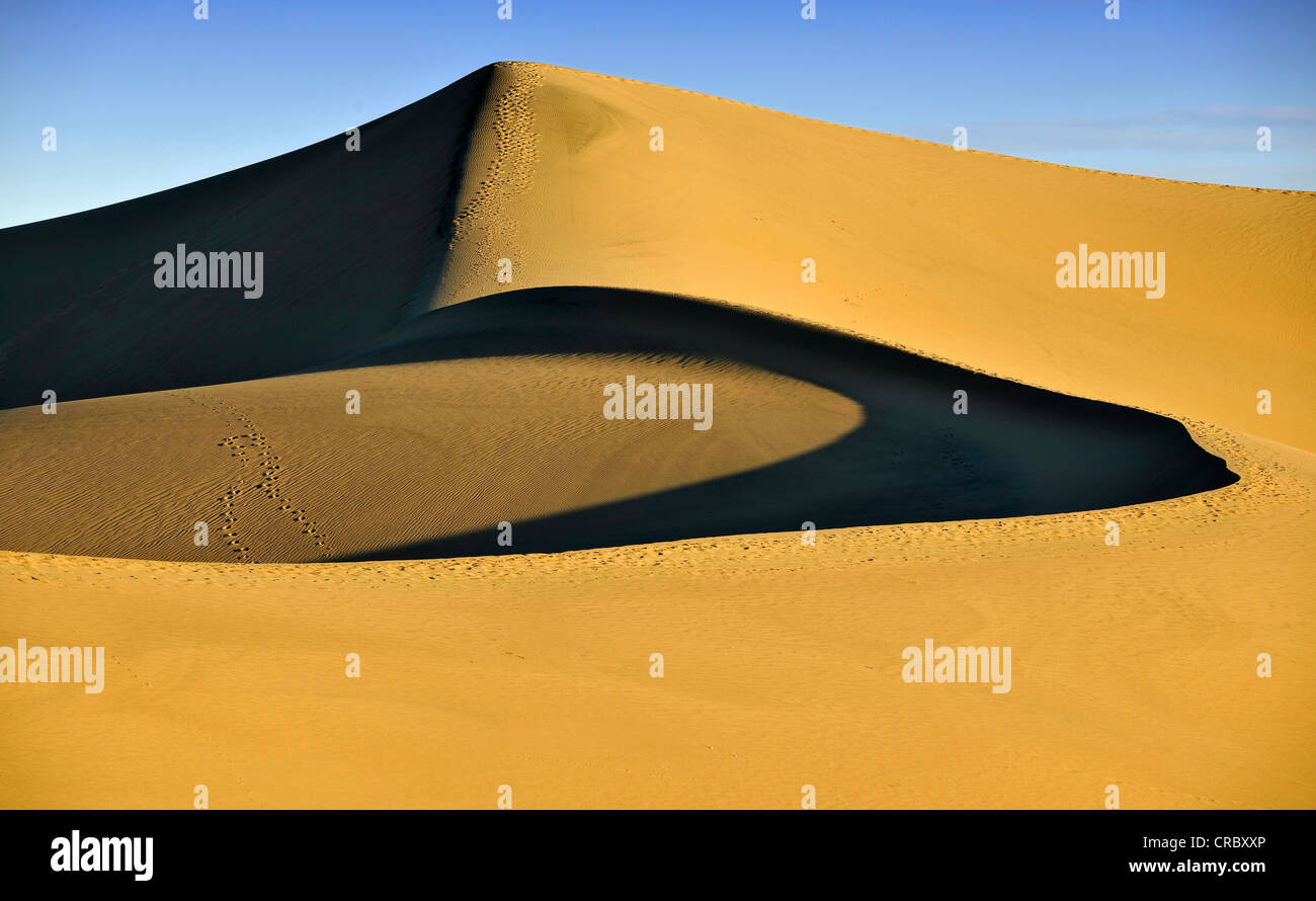 Star Dune, the highest dune of the Mesquite Flat Sand Dunes, known from ...