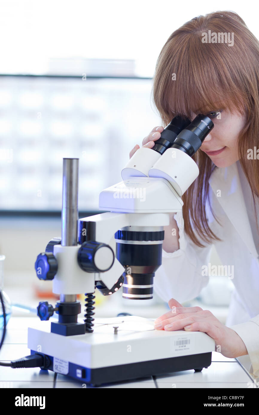 pretty female researcher using a microscope in a lab Stock Photo - Alamy