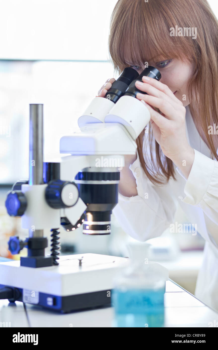 pretty female researcher using a microscope in a lab Stock Photo - Alamy