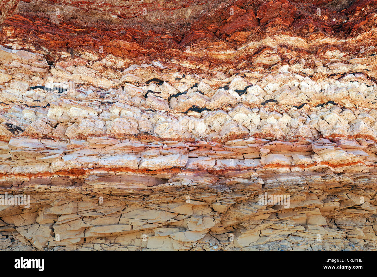 Layers of coal in the Coal Mine Canyon, Coal Mine Mesa, Painted Desert ...