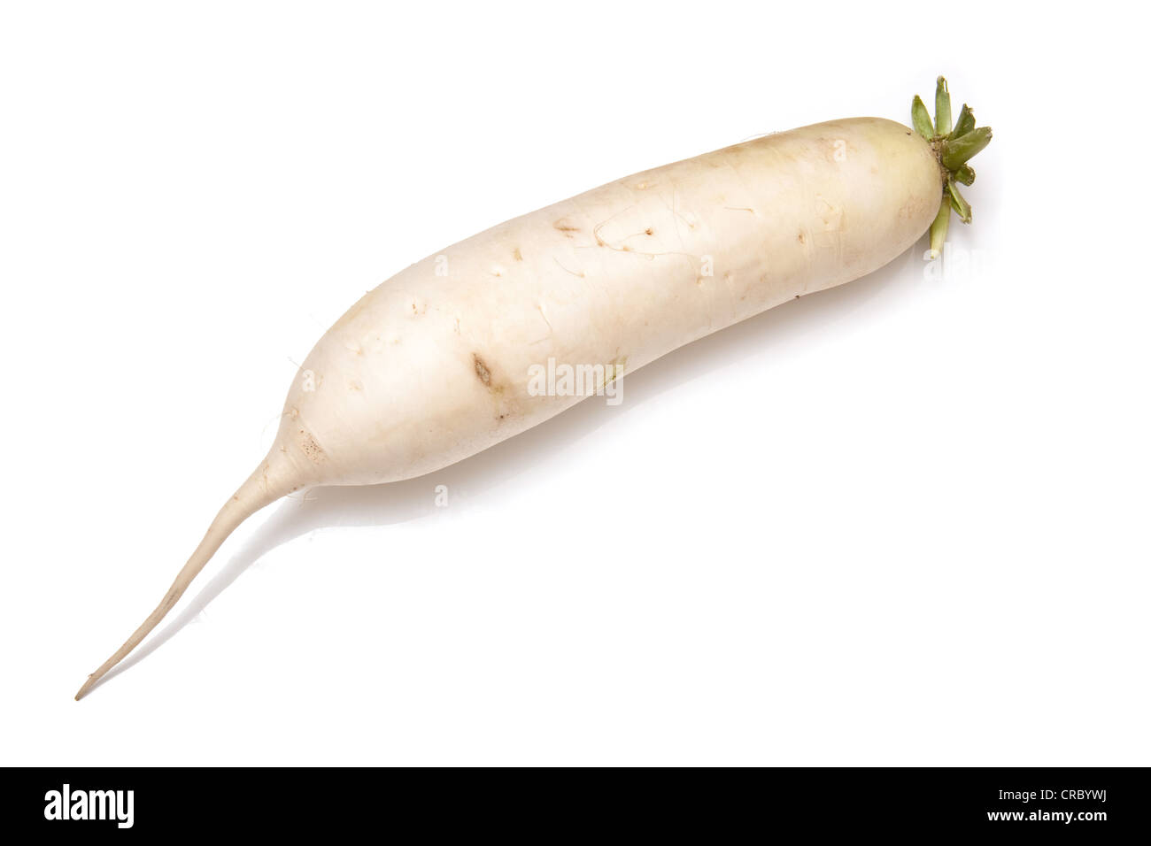 Mooli radish or Daikon isolated on a white studio background Stock ...