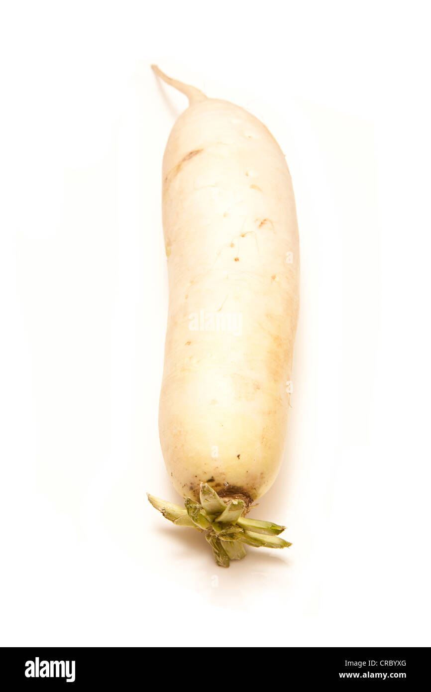 Mooli radish or Daikon isolated on a white studio background Stock ...