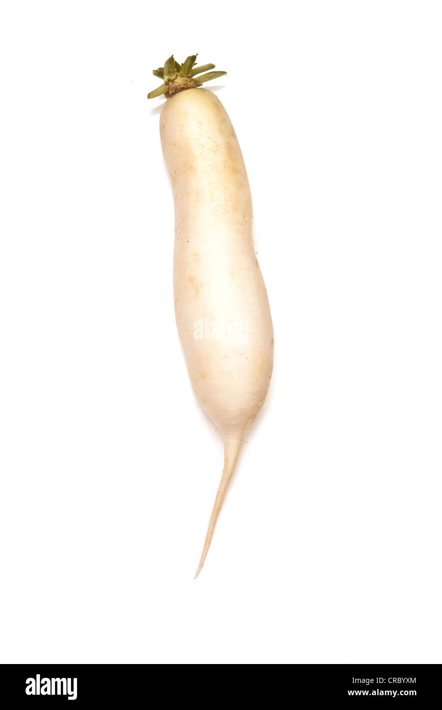 Mooli radish or Daikon isolated on a white studio background Stock ...