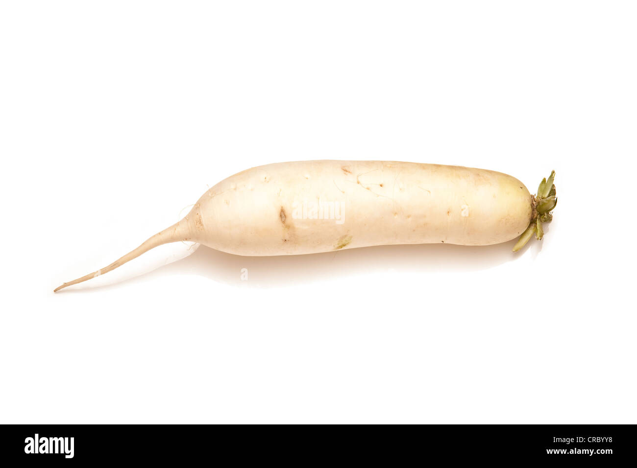 Mooli radish or Daikon isolated on a white studio background Stock ...