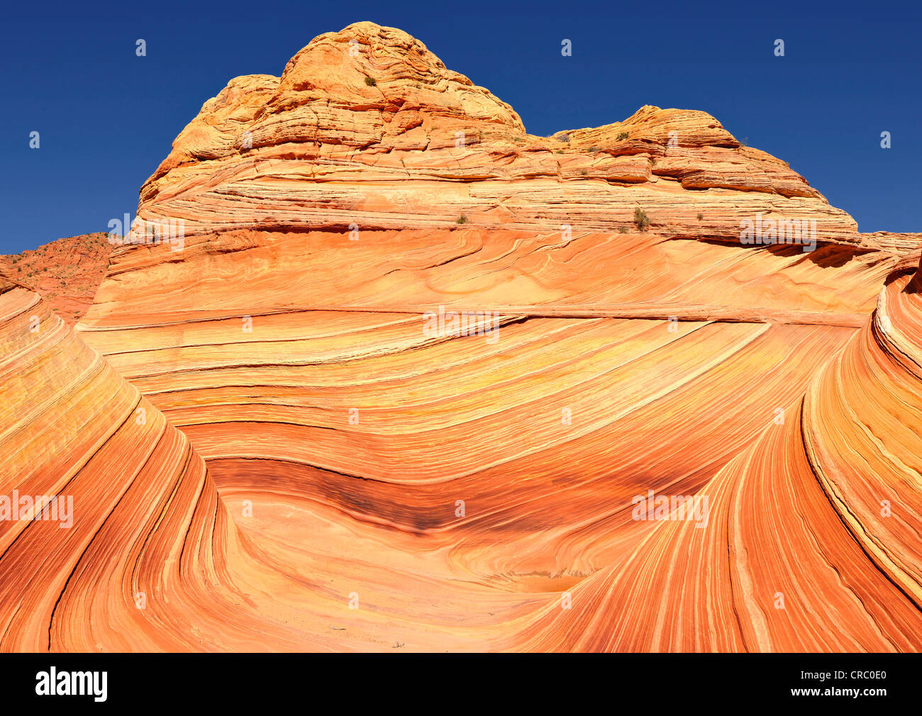 The Wave sandstone rock formation, a wave of eroded Navajo sandstone ...