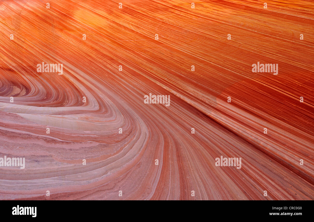 Detailed view of typical Liesegang rings, stripes, The Wave sandstone ...